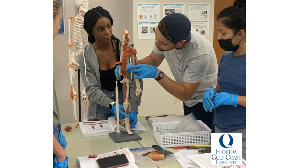 Learning Assistant Alliance